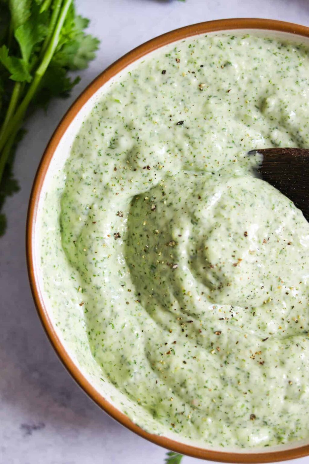 Cilantro Jalapeño Sauce - Lauren con Sazón
