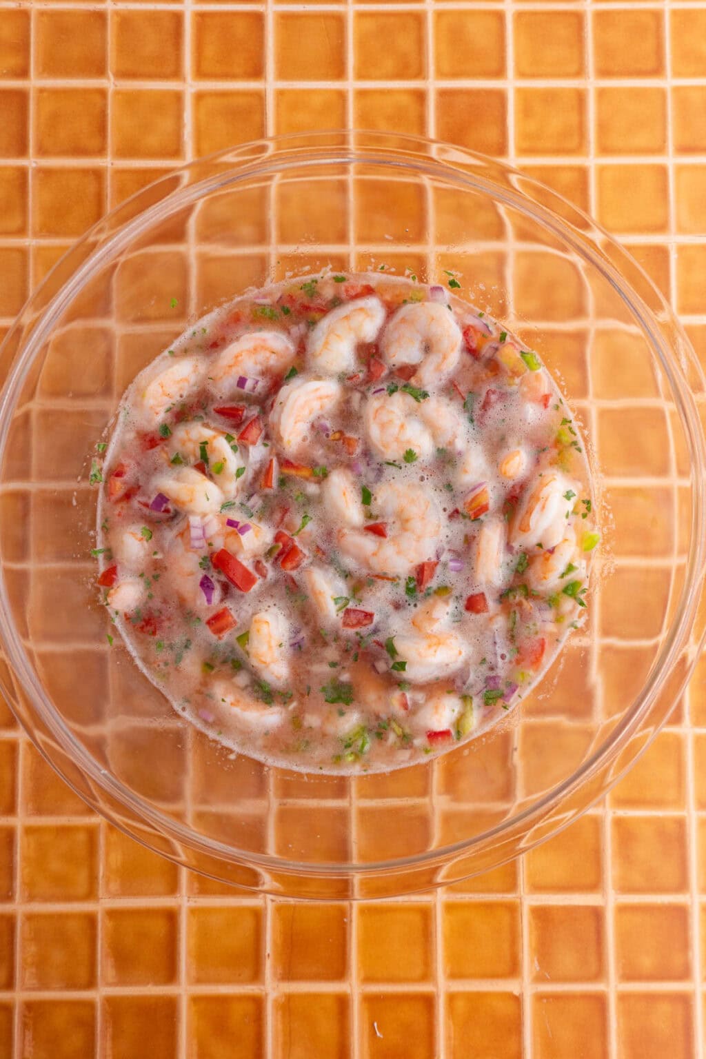 Ecuadorian Shrimp Ceviche - Lauren con Sazón