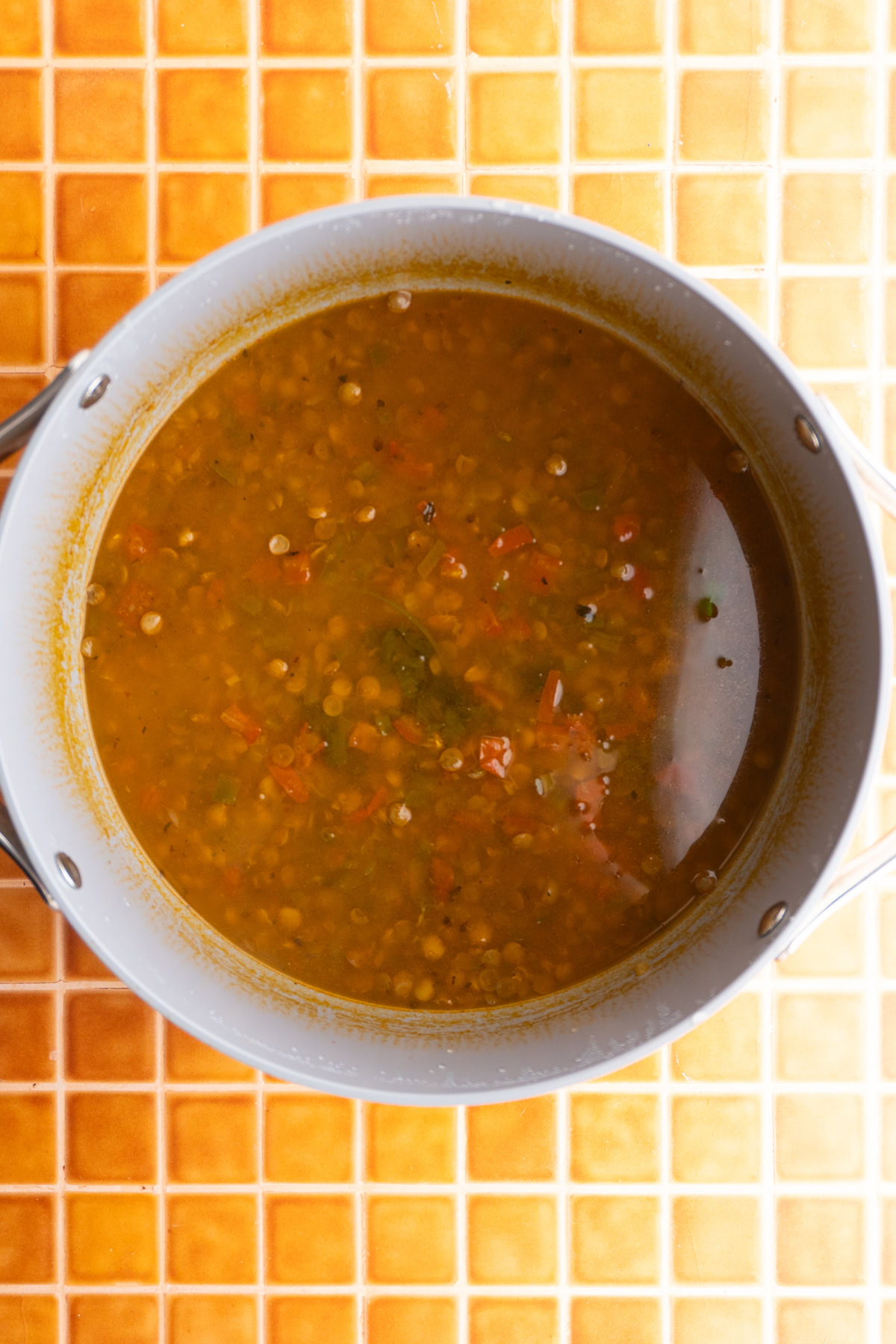 Ecuadorian Lentils (Menestra de Lentejas)