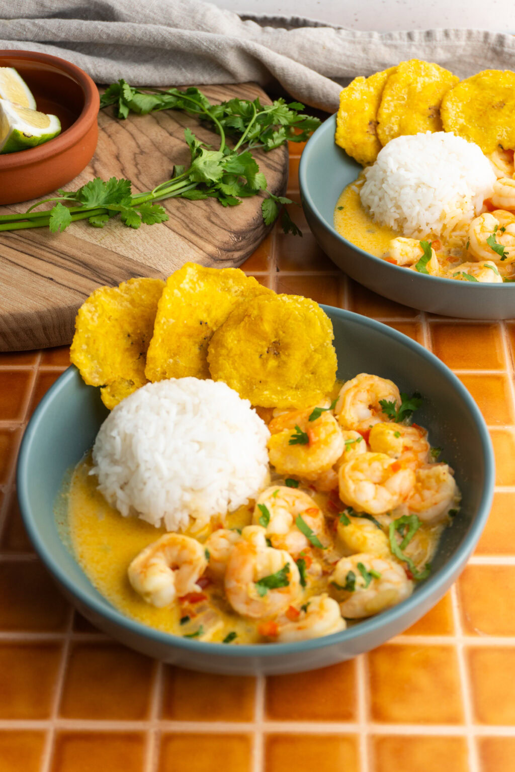 Encocado de Camarón (Shrimp in Coconut Sauce)