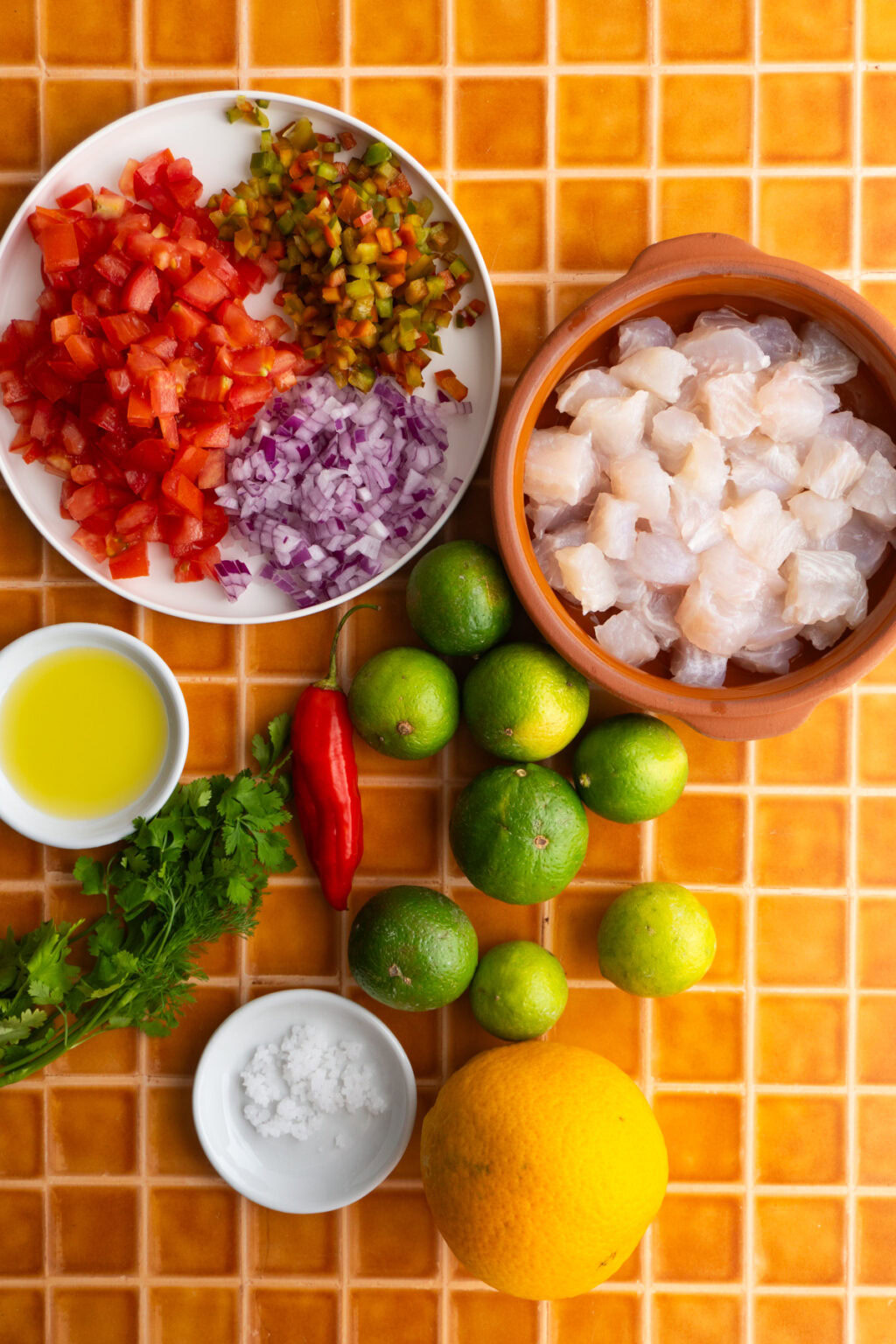 Ecuadorian Fish Ceviche - Lauren con Sazón